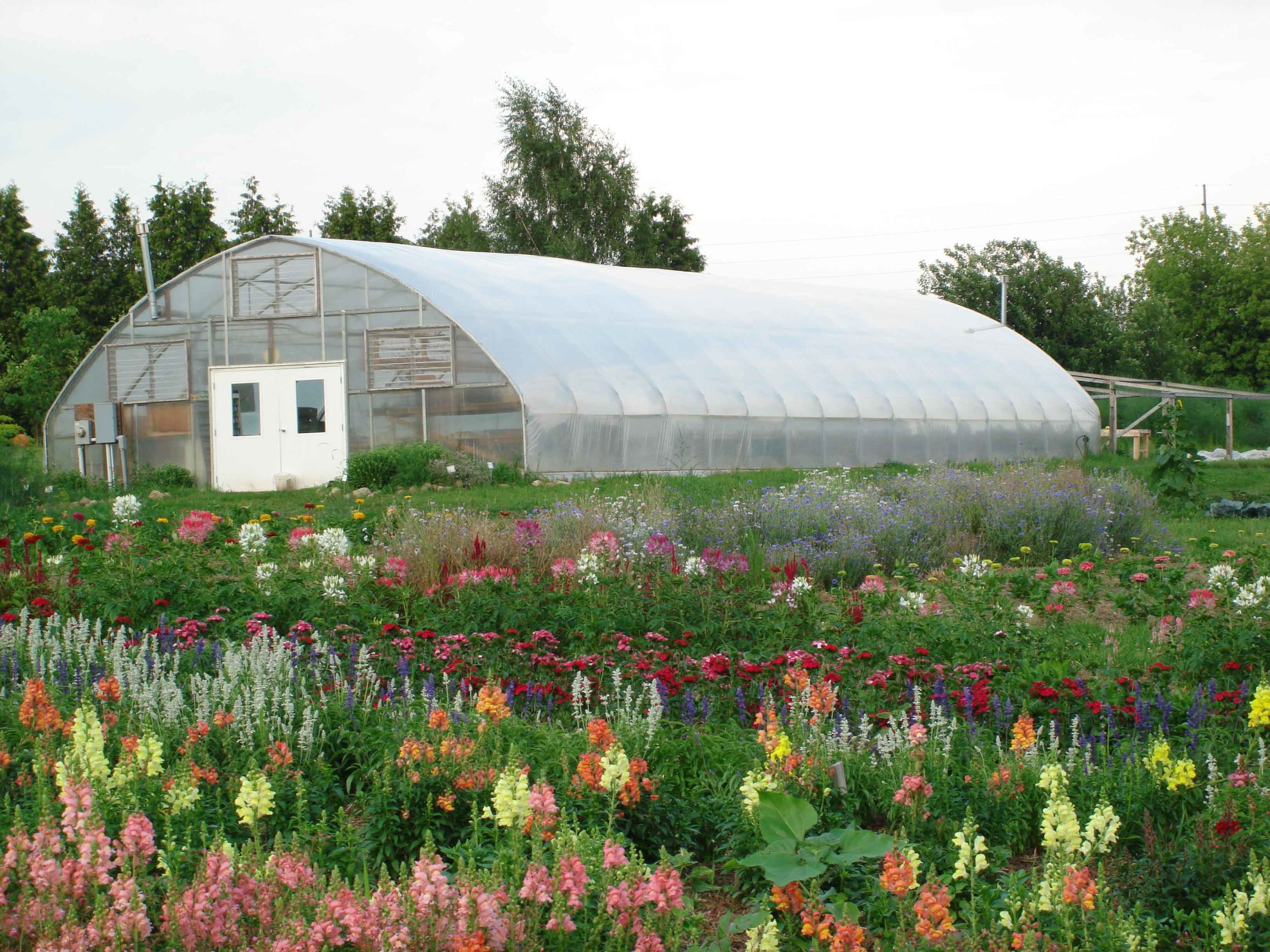 West Star Organics – Certified Organic Plants for Successful Gardening