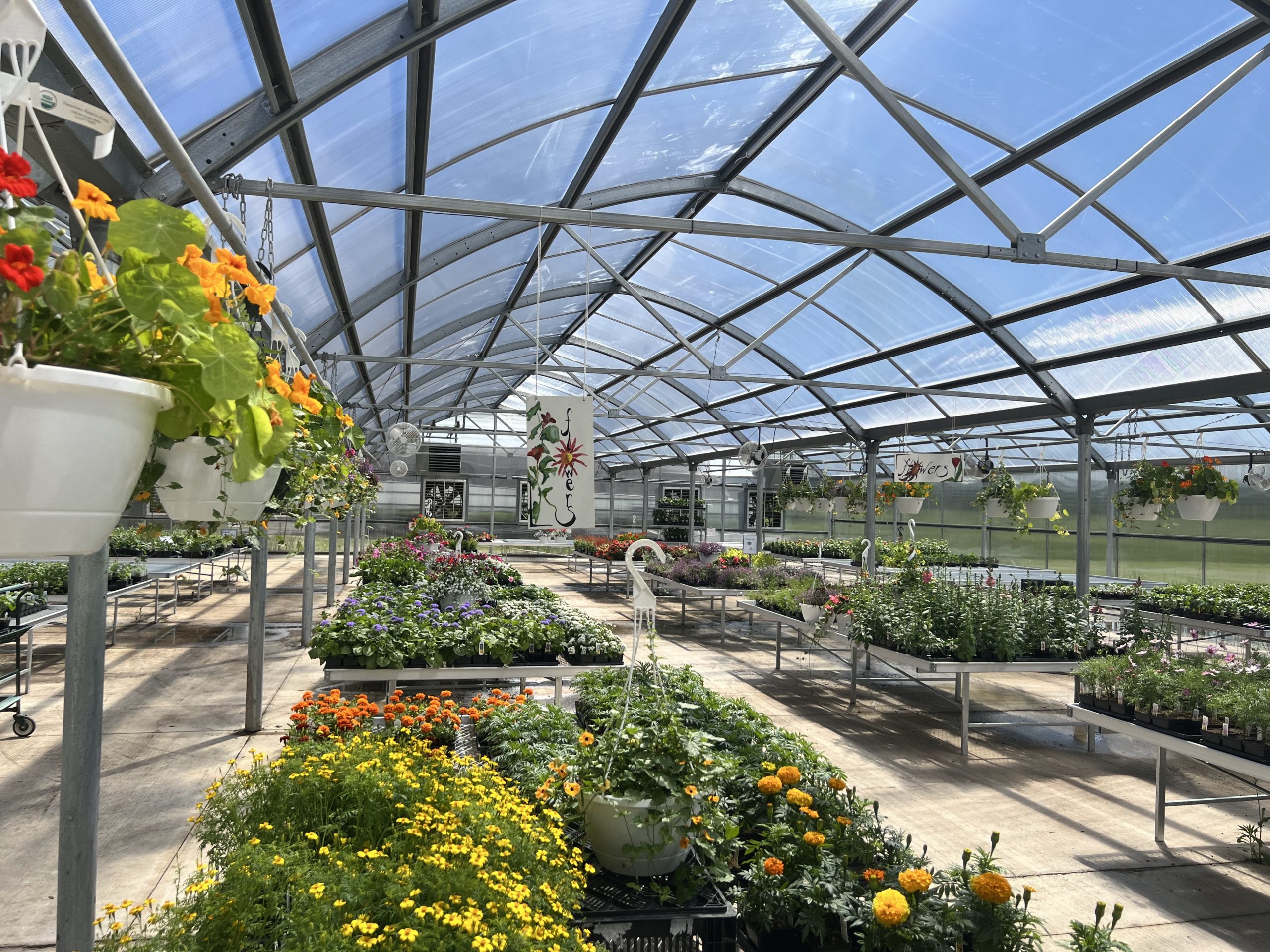 West Star Organics – Certified Organic Plants for Successful Gardening