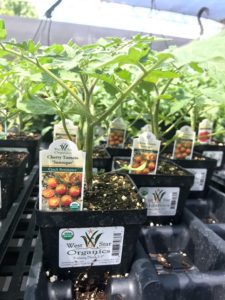 West Star Organics – Certified Organic Plants for Successful Gardening