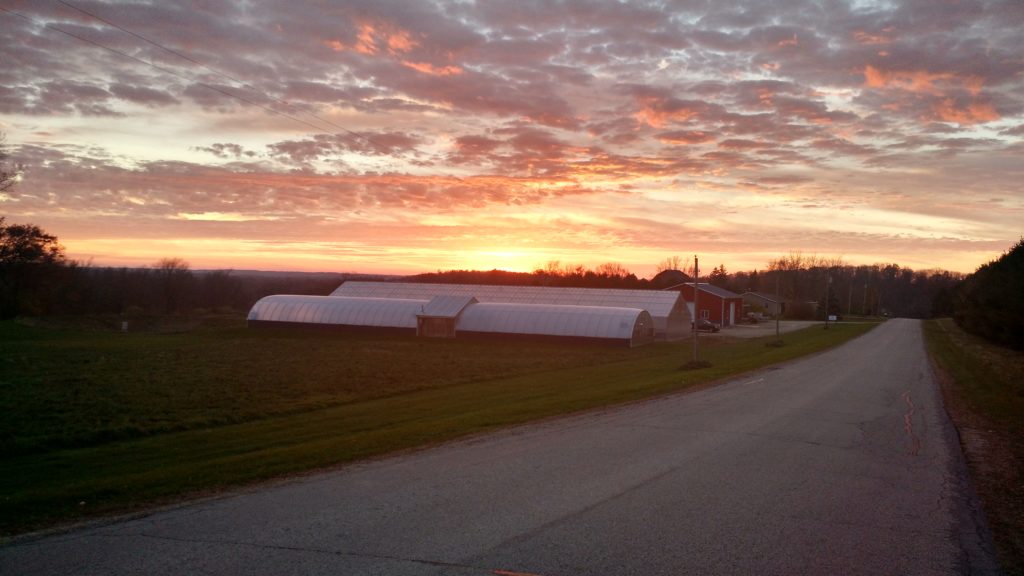 About Us – West Star Organics